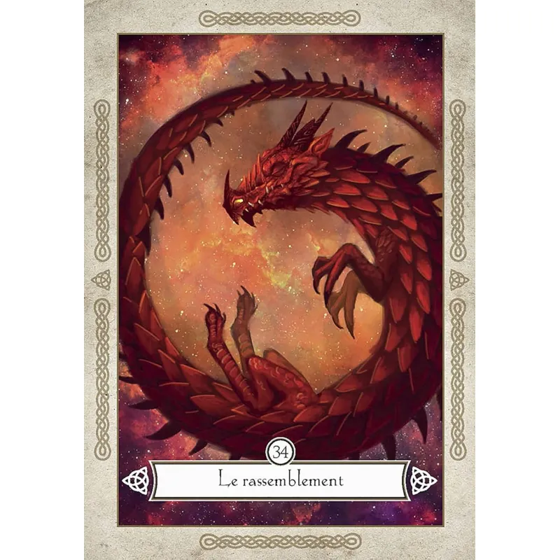 L'oracle des dragons vikings - Damien Jacquemet - Editions Médicis