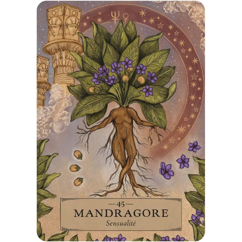 L'oracle des astres et des plantes - Editions Véga - Adriana Ayales